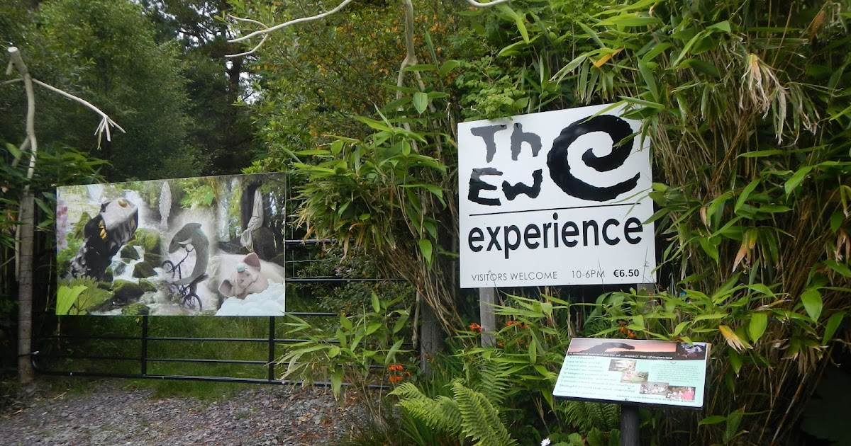 Glengarriff's gem - The Ewe Experience