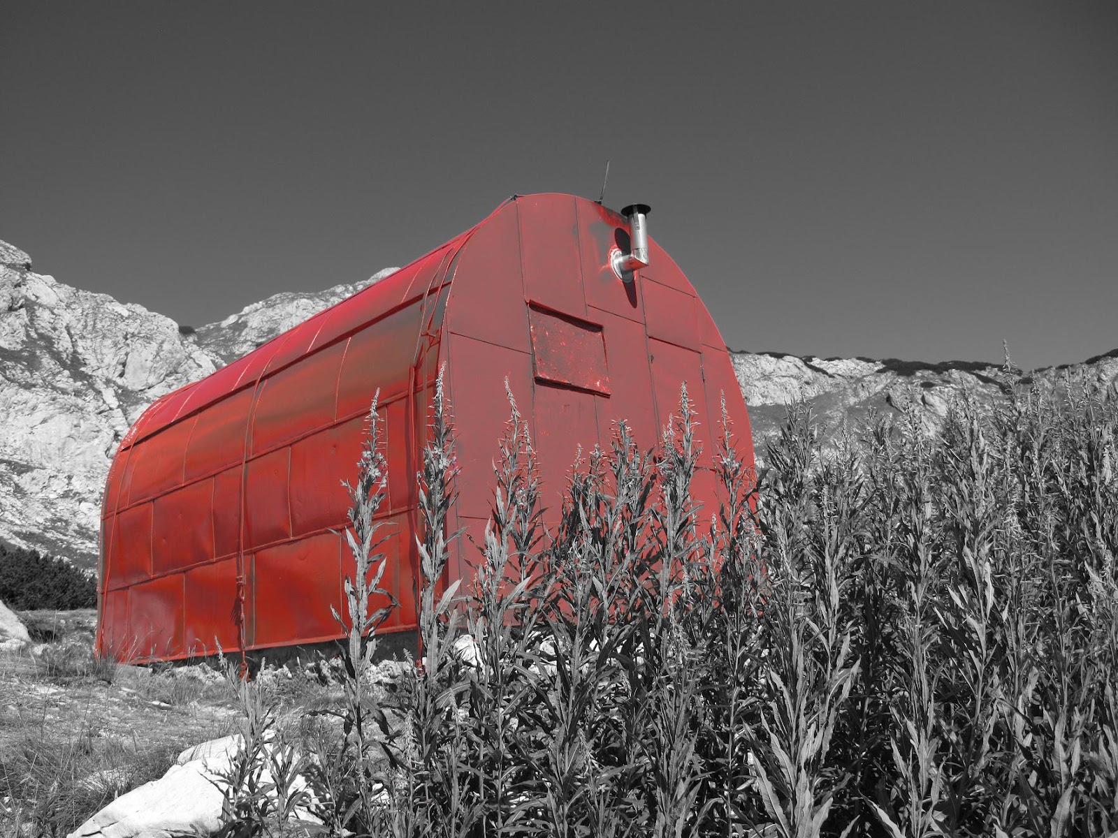 Luna chocolate lab sweeter than a chocolate: Alpski bivak & Debeli ...