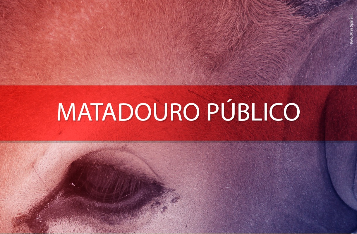 V&C Garanhuns: MPPE recomenda interdição do matadouro público de Iati