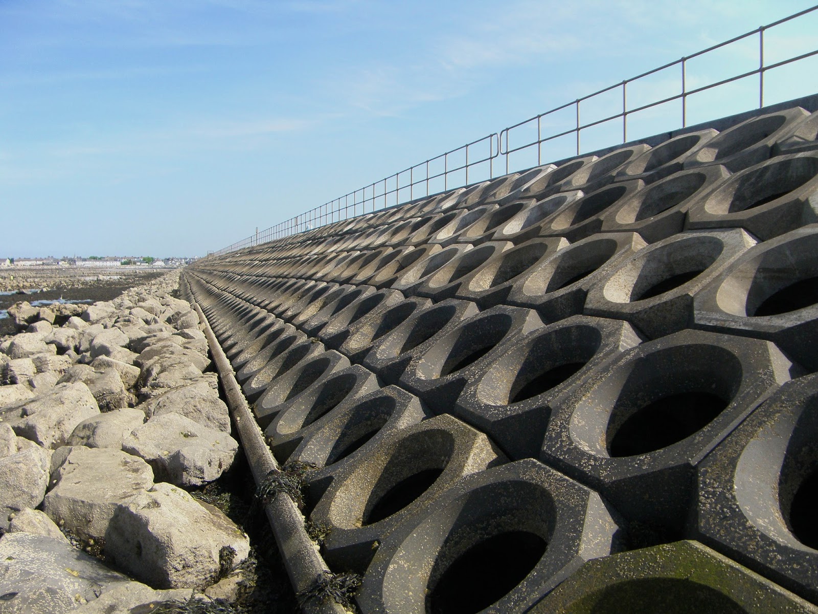 Increasing biodiversity on artificial structures
