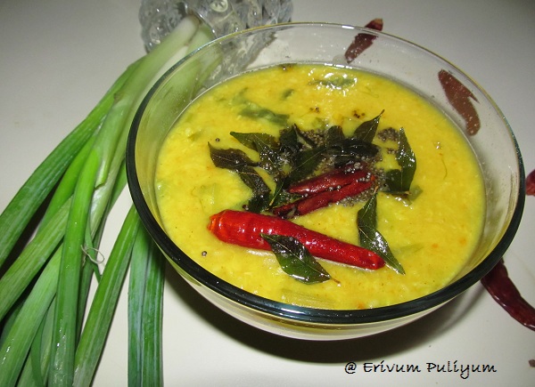 Erivum Puliyum: KERALA VEG CURRY | NADAN OZHICHU CURRIES