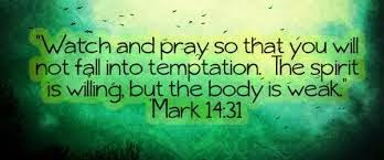 Bible Literature: Resons Behind Peter's Denial: Really Peter, Really?!