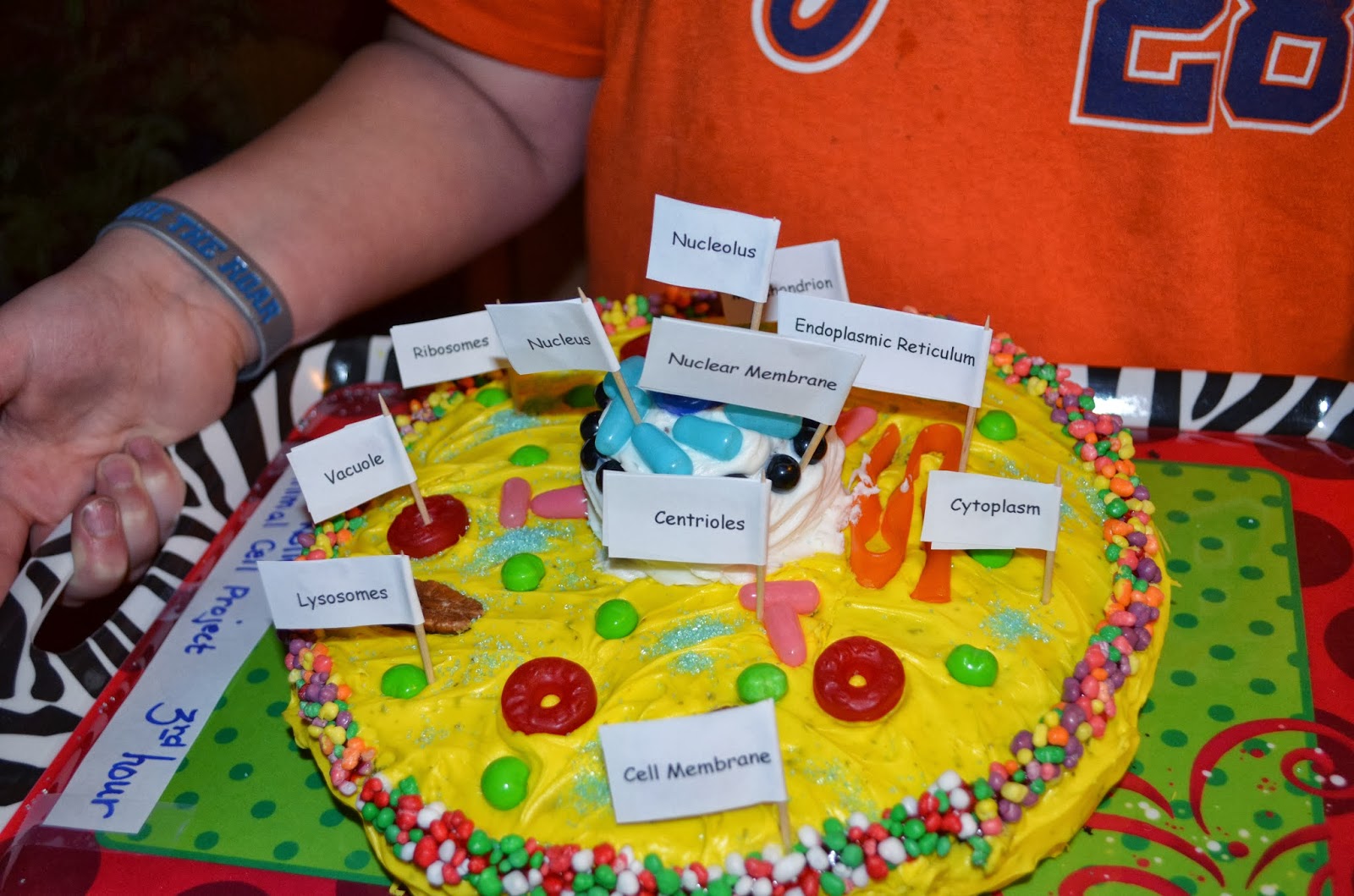 THE Woller World: Another project ---- JM and his animal cell -- YUM!