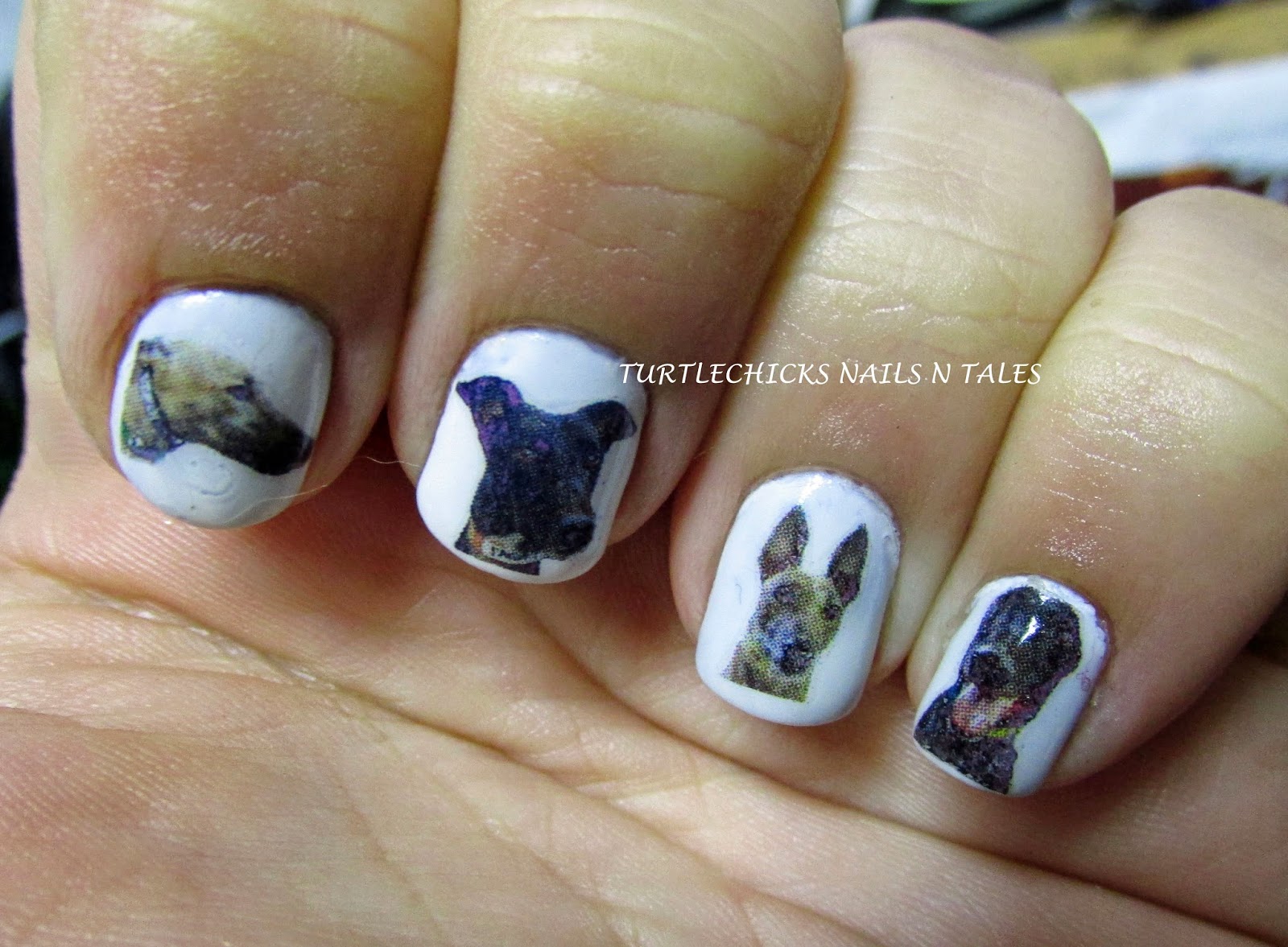 Turtlechick's Nails N Tales: Greyhound Mani