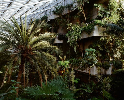 Somewhere I would like to live: BARBICAN CONSERVATORY