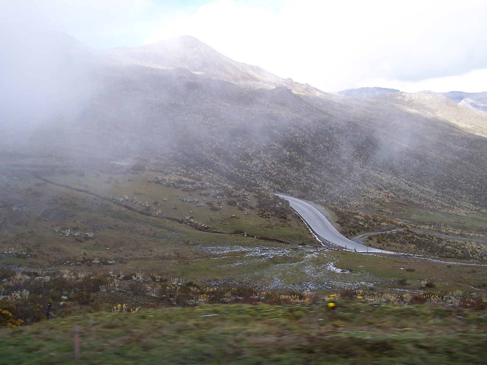 Los Viajes de Montenegro: Páramo merideño....Ternura entre la neblina y ...