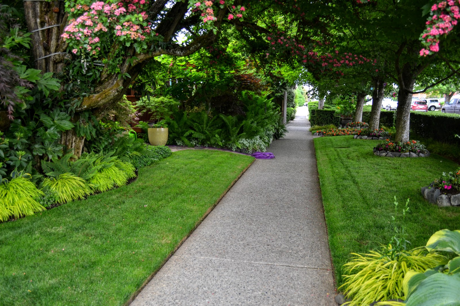 The Outlaw Gardener: A Spectacular and Mysterious Garden