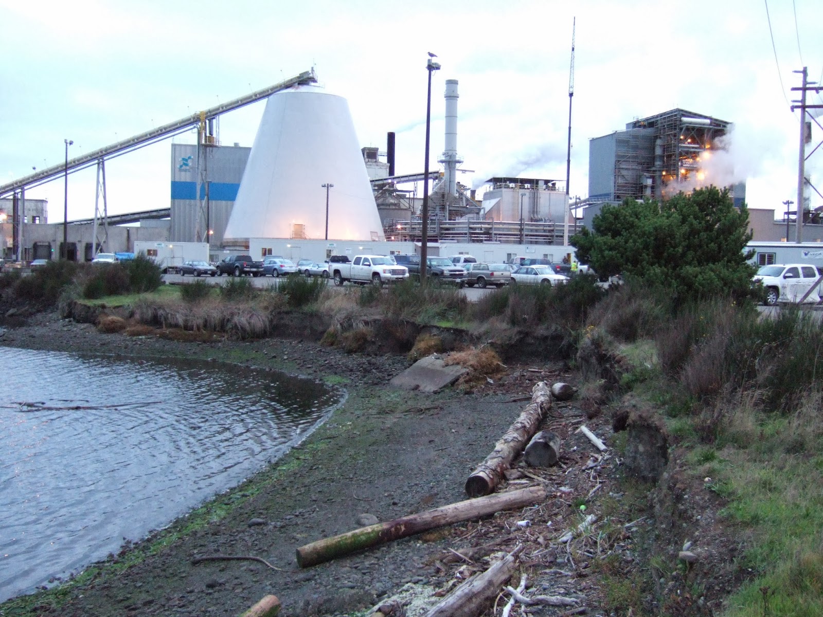 Reading the Washington Landscape: Trip Out Ediz Hook, Port Angels