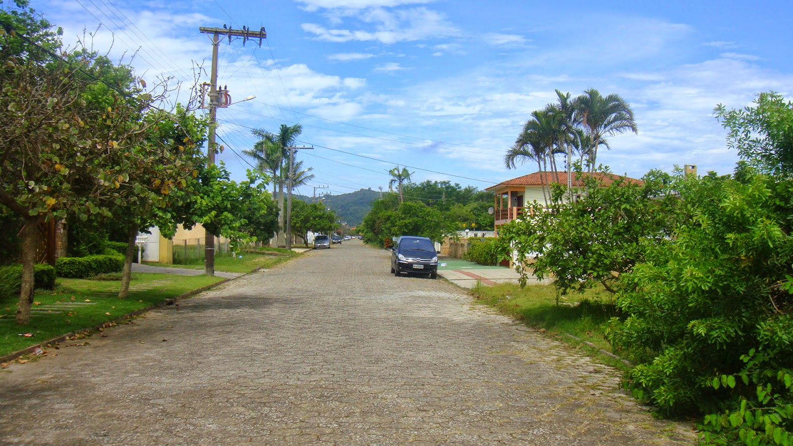 TRILHAS E CAMINHOS: Praia da Daniela - Florianópolis - SC
