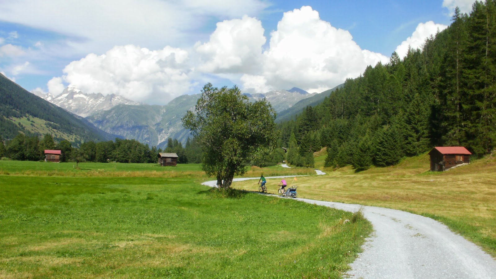 EXCURSII CU BICICLETA: Elvetia