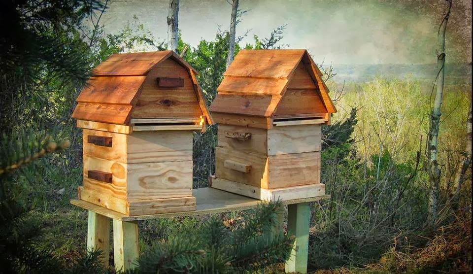 Corona Apicultores: TRATAMIENTO DE LA LOQUE AMERICANA POR TRANSFERENCIA ...