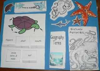 Walking by the Way: ECC Weeks 27-28 More From Japan & Ocean Studies