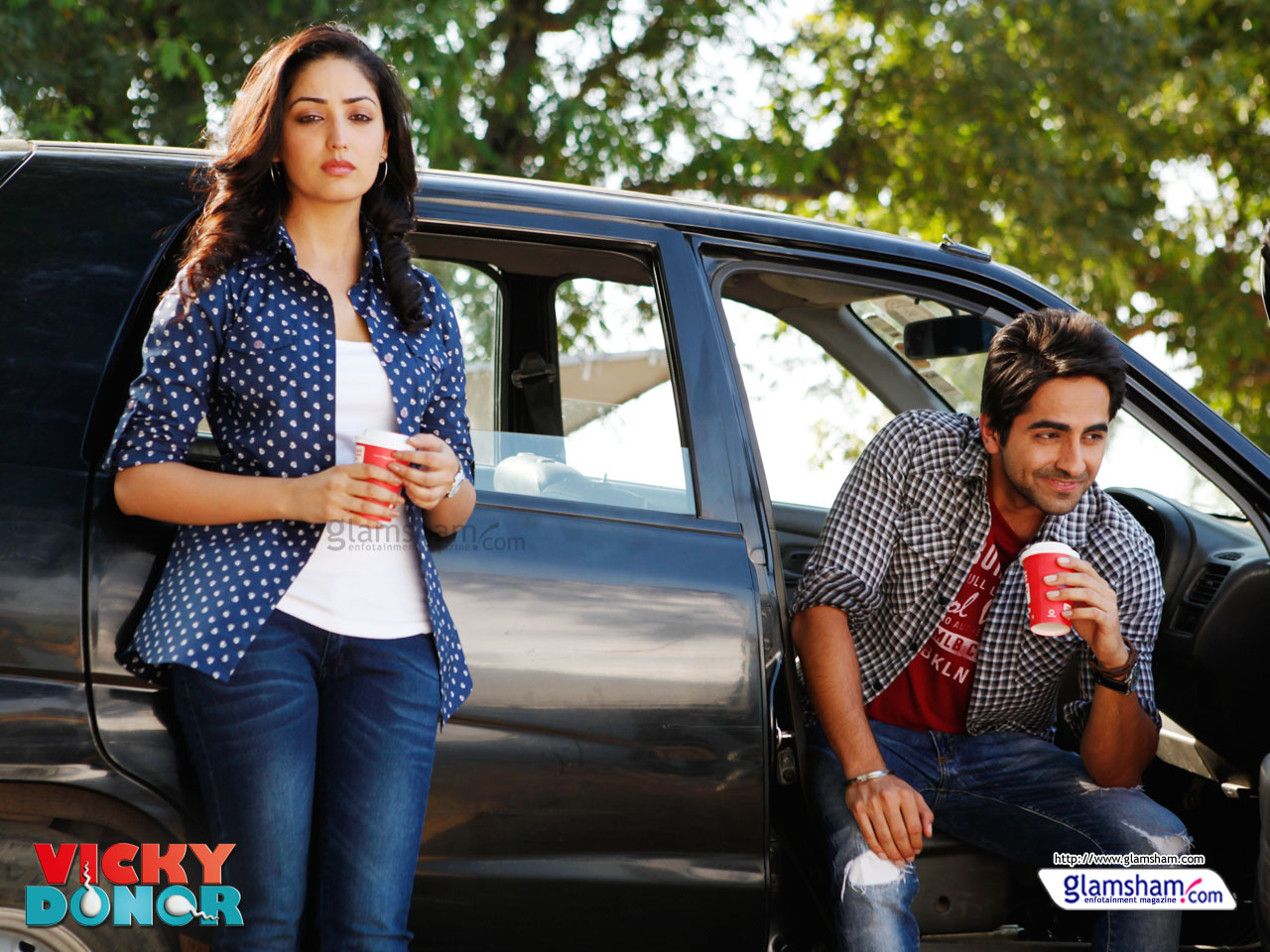 vicky doner, movie, vicky doner movie review, wallpapers, wall, pictures, pics, vicky doner ...