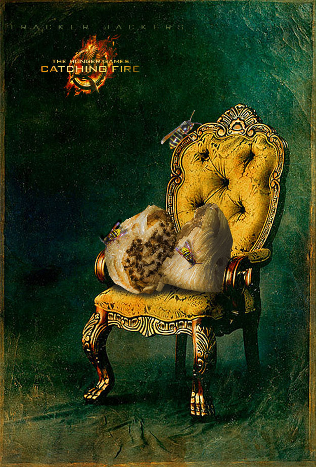 PHOTOS: Unofficial Capitol Portraits for other Catching Fire characters ...