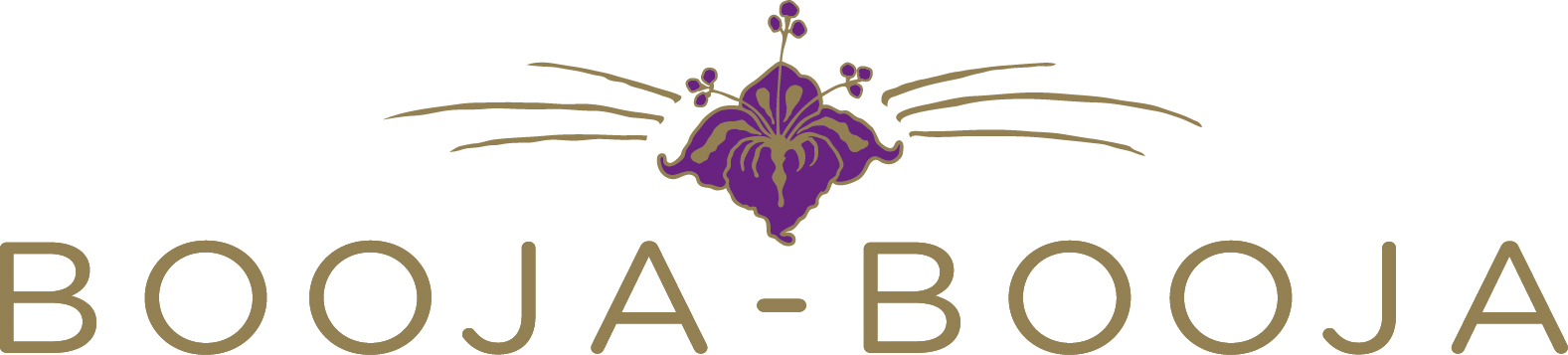 Sustainably Erin: Booja Booja Caramel Pecan Praline Ice Cream