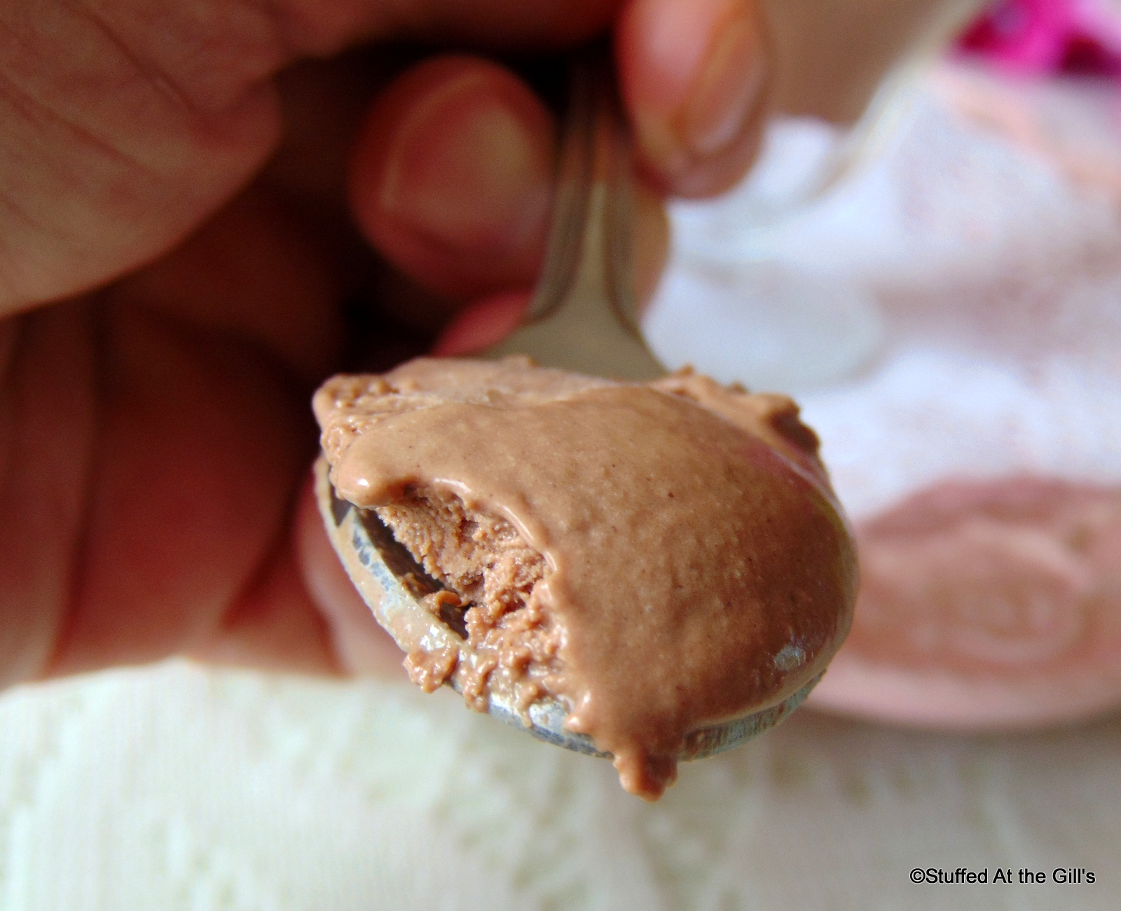 Creamy, Smooth You Won't Believe It's Vegan Chocolate Ice Cream