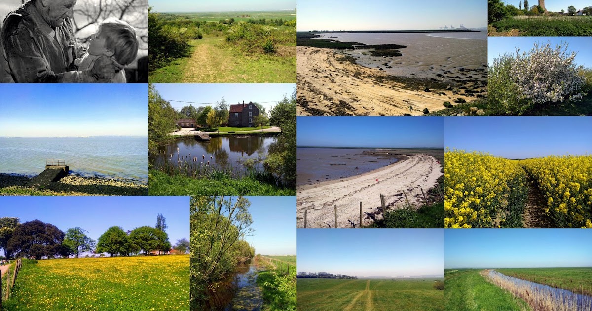 John's Labour blog: Great Expectations Met: Northward Hill and Halstow ...