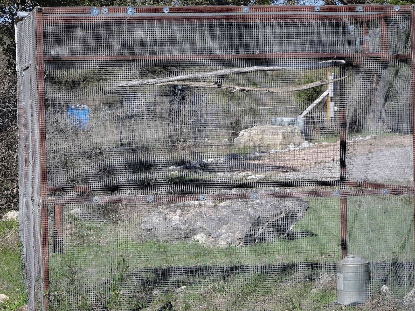 Mark & Teri's Travels: Kerr Wildlife Management Area