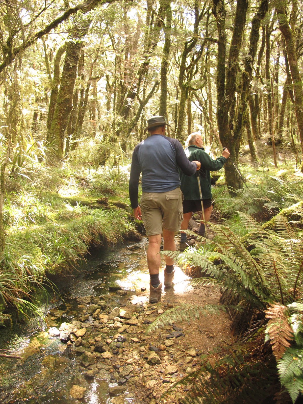Come, walk with me.: Heaphy Track - day 2 Gouland Downs hut to Saxon Hut