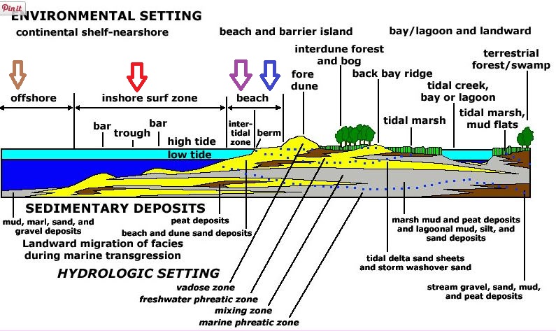 The Treasure Beaches Report Direct From Florida's Treasure Coast.: 1/2 ...