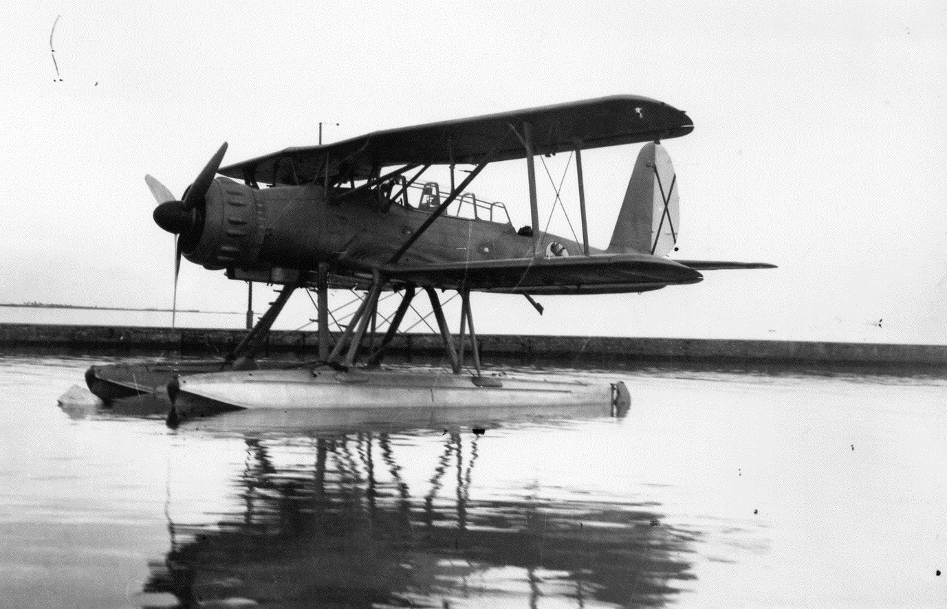 modelismo de peazo-gato: ARADO AR 95 L , presentación y 1º avance