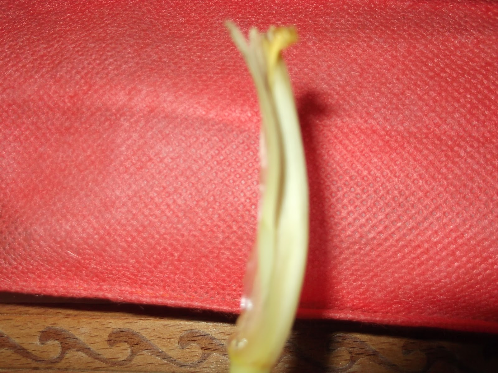 Sri's kitchen: Arati puvvu pulusu (or) Banana flower stew