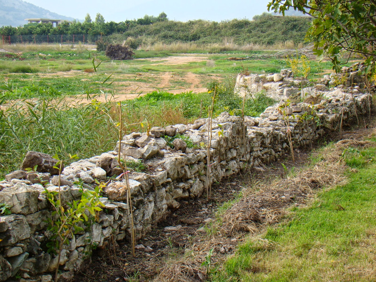 Surprised by Time: Nauplion's fiefs