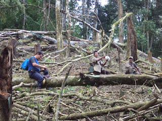 S.O.S. BOSAWAS: *RESERVA DE BOSAWÁS*