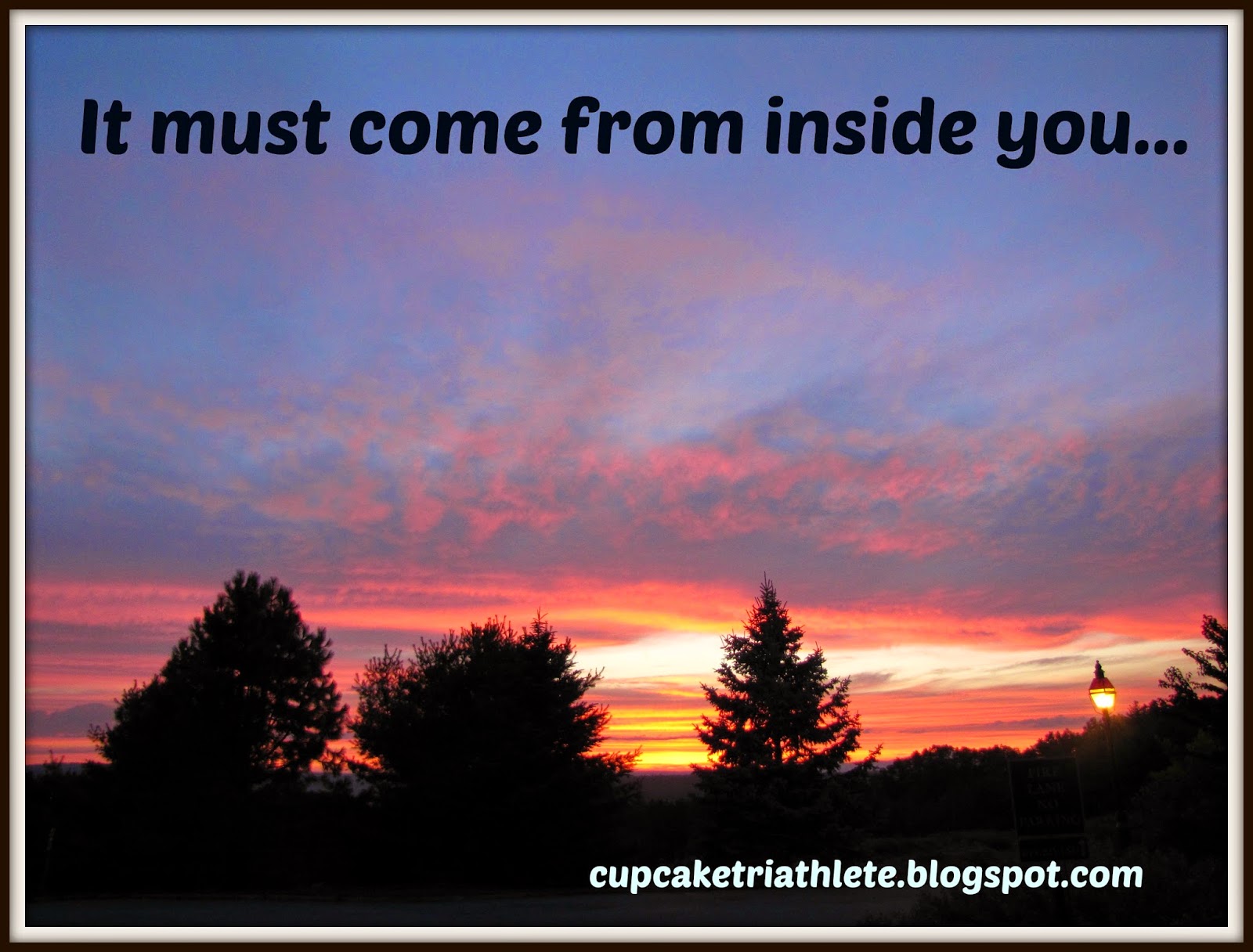 The Cupcake Triathete