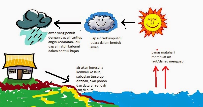 ekosistem keseimbangan biotik dan abiotik: Siklus Air
