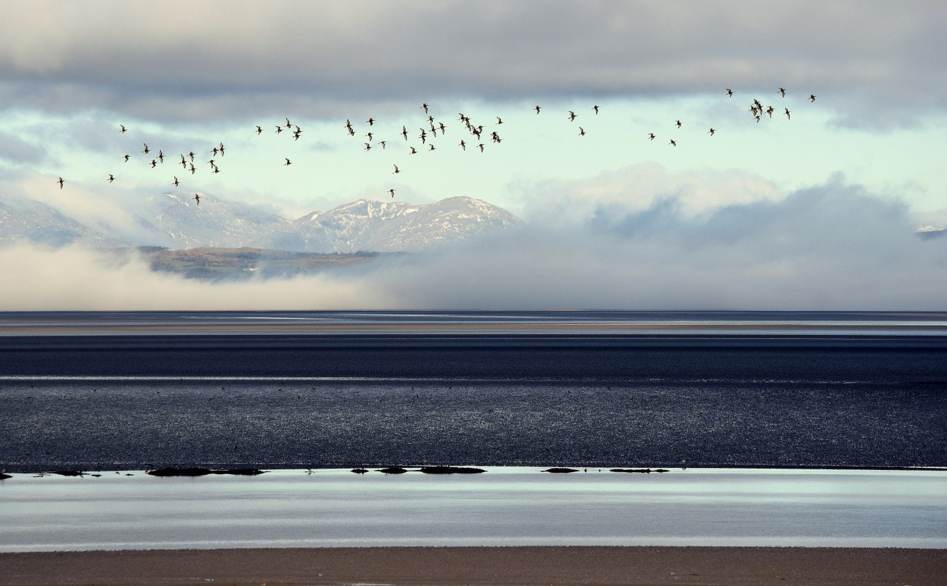 UCLan International Tourism Management: THE UCLan Research Profile ...