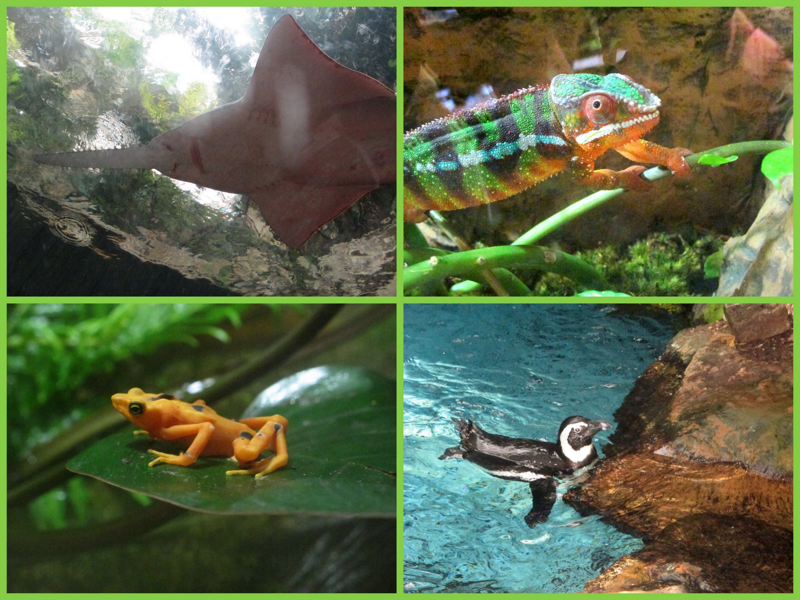 Diana's Delights: Kaytie and Nonna Come To Visit