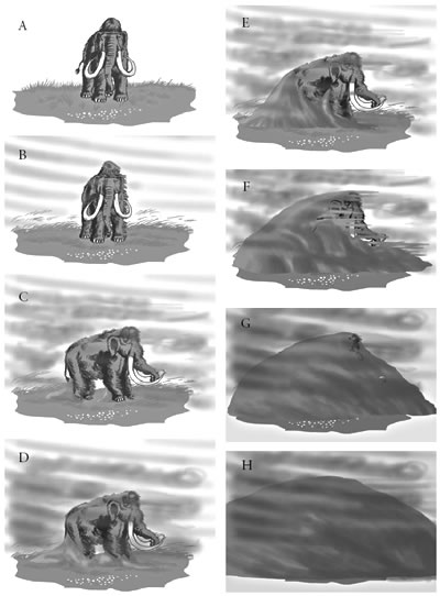 Creation - The Written Truth: MAMMOTHS, ICE AGE, WOOLLY MAMMOTHS ...