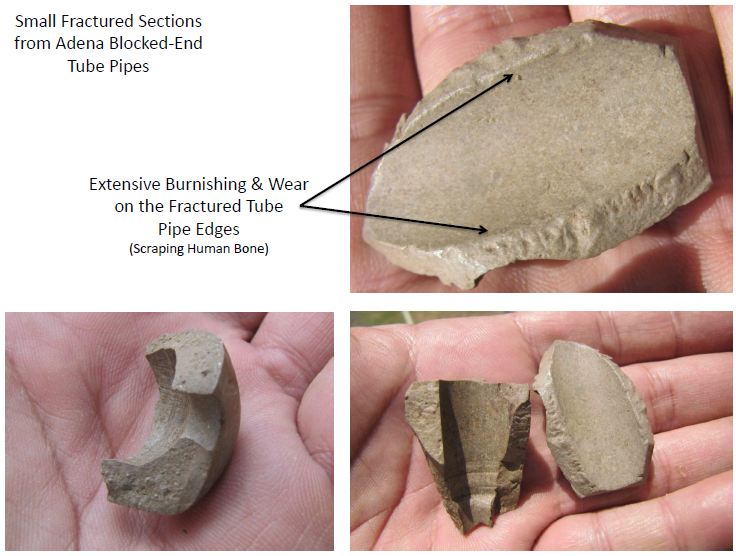 bensozia: Delmarva Adena at Pig Point