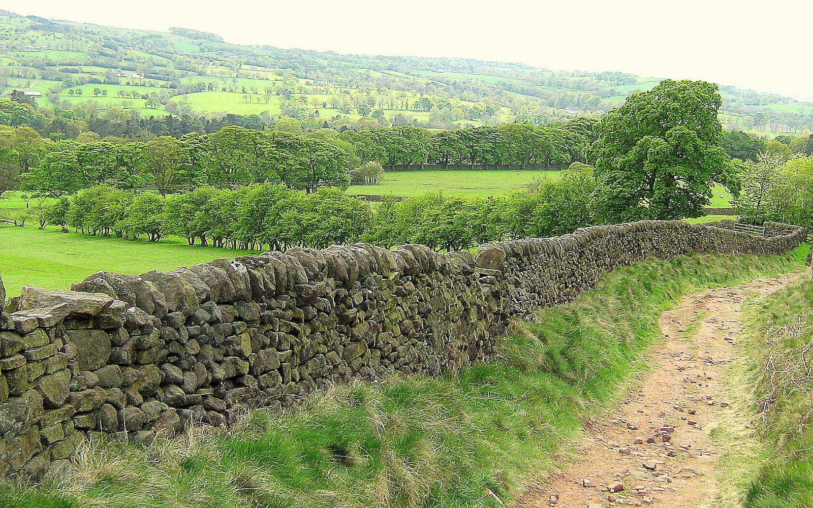 Staffordshire Photo: Dry stones in the Peak