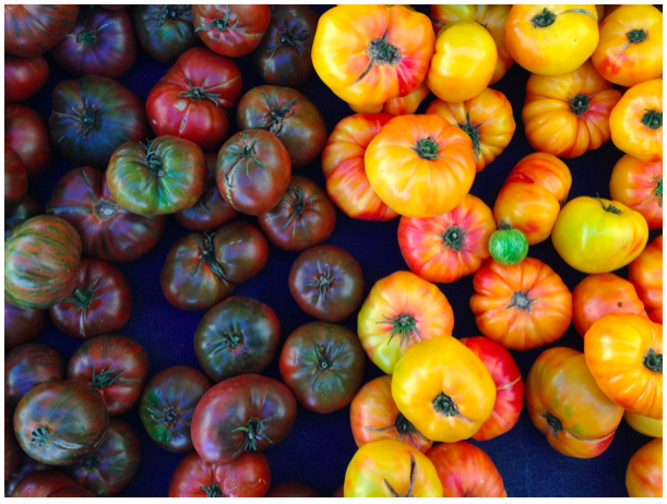 love from the bay: seasons and the market are changing