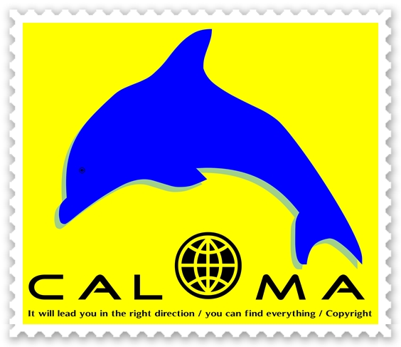 New channel in the search