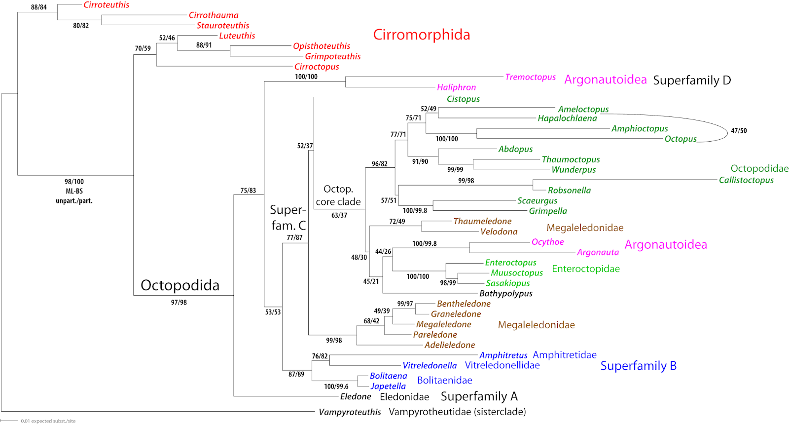 The Genealogical World of Phylogenetic Networks: Phylogenetic ambiguity ...