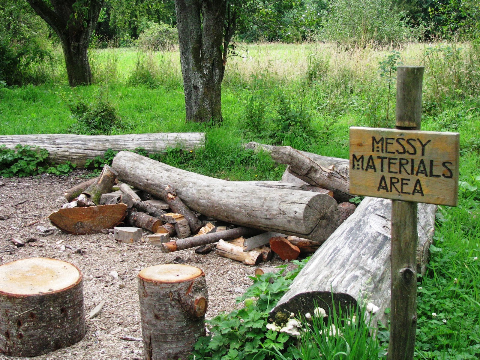 Faces of Nature: Naturally Playful