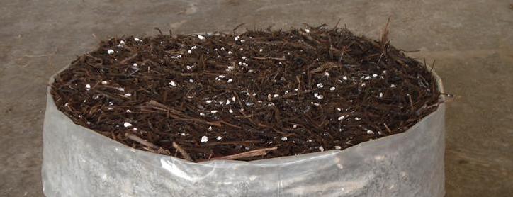 Tarım Siteniz: Kompost Yapımı