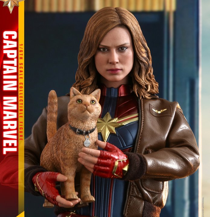 That's Purrfect: Super Hero Goose Is Just Purrfect