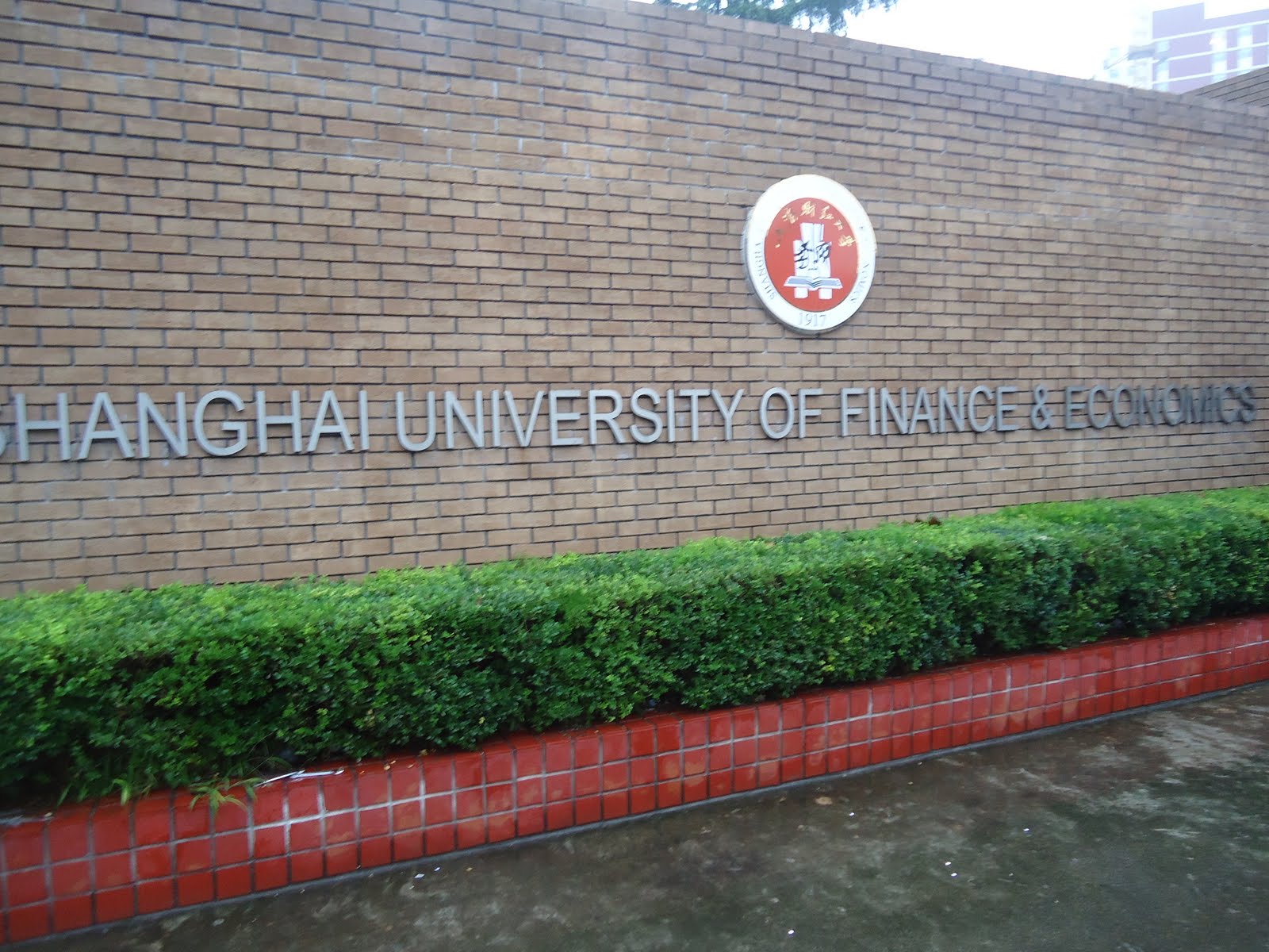 Eyes Wide Open: A New Beginning