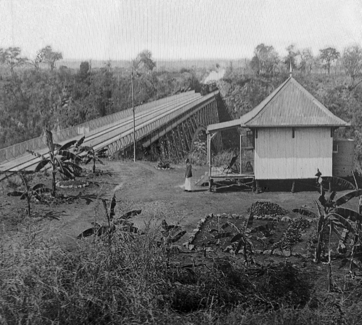 transpress nz: early days of the Cape to Cairo Railway, Africa