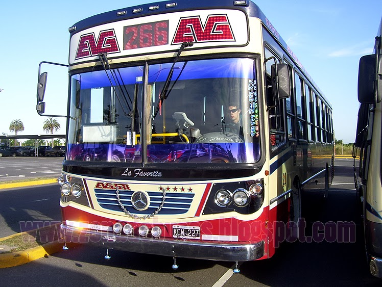 Colectibus - Zona de Buses: LINEA 266