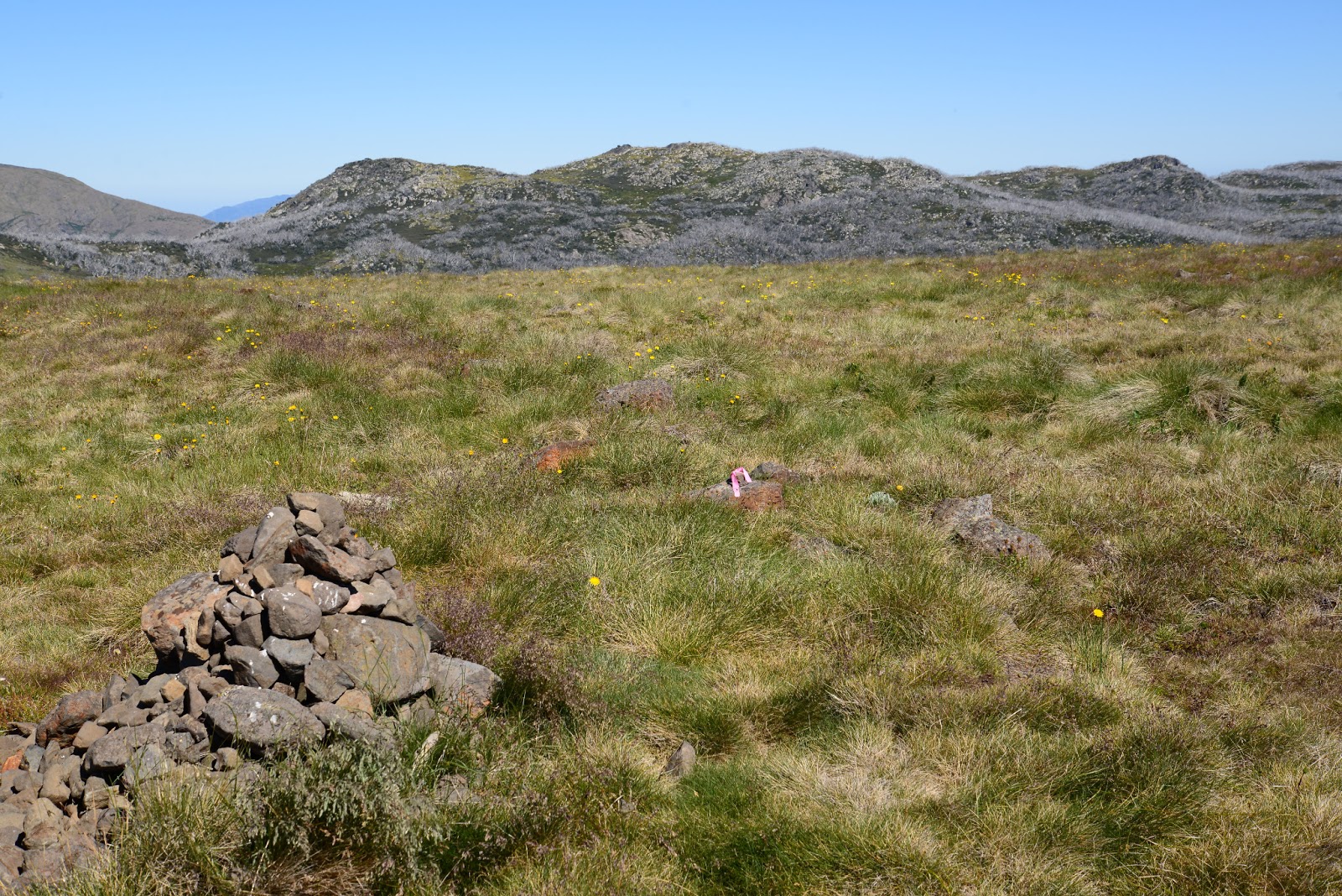 walkabouters club of victoria inc: Pretty Valley - Tawonga Huts - Mount ...