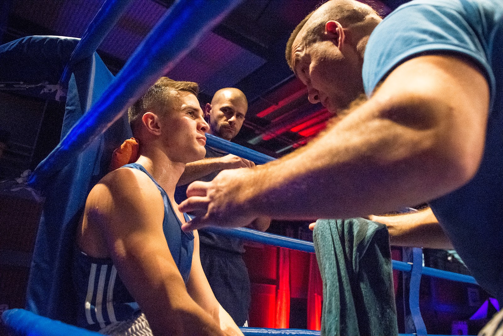 TageBilder: Boxen – Boxing VS gegen Irland – Das war die Boxgala am 15 ...