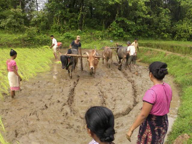 ARCHETYPES INDIA: CRITIQUE of CREATIVITY