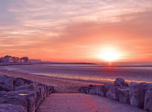 Is the BBC biased?: The back with two beasts