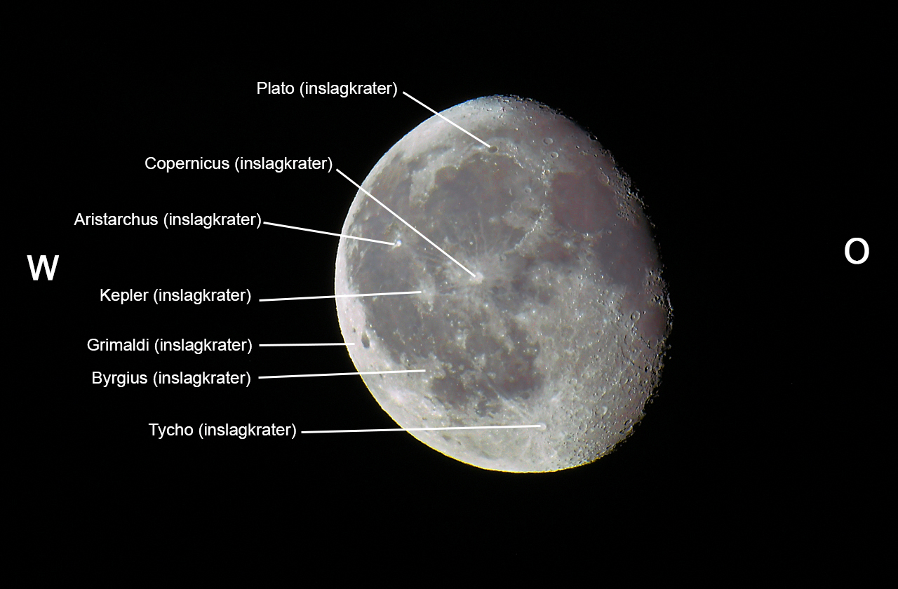 Jozef van der Heijden - Natuurfotografie: Na volle maan volgt een ...