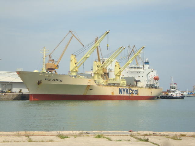 El mundo del Marine Surveyor (Capt.V.Massey): Buques dedicados al ...